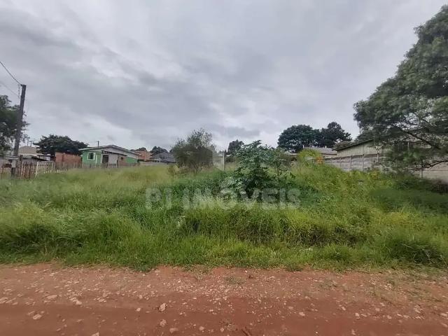 Terreno / Lote para Venda em Ponta Grossa/PR Jardim Carvalho