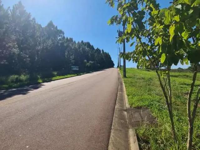 Terreno / Lote para Venda em Ponta Grossa/PR Jardim Carvalho