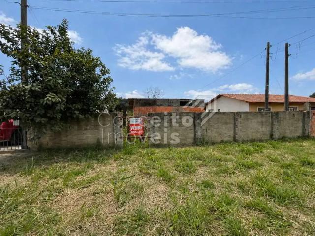 Terreno / Lote para Venda em Ponta Grossa/PR Jardim Carvalho