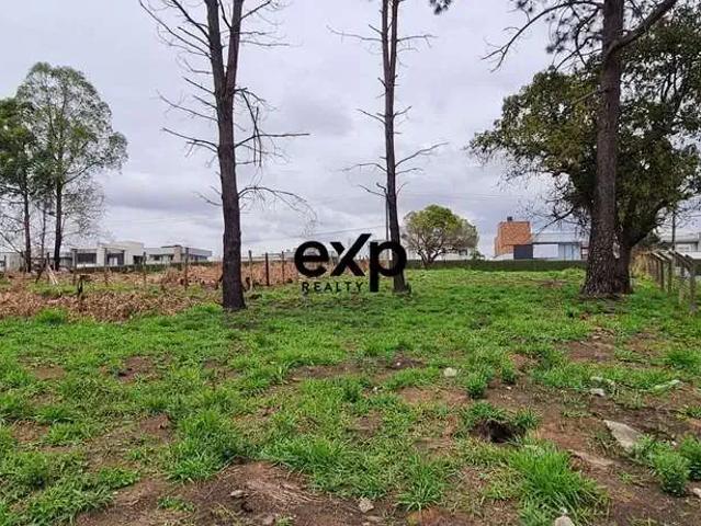 Terreno / Lote para Venda em Ponta Grossa/PR Jardim Carvalho