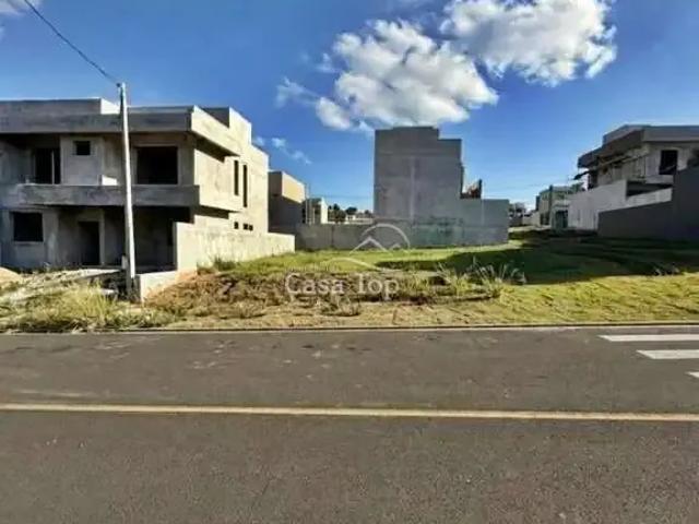 Terreno / Lote para Venda em Ponta Grossa/PR Jardim Carvalho