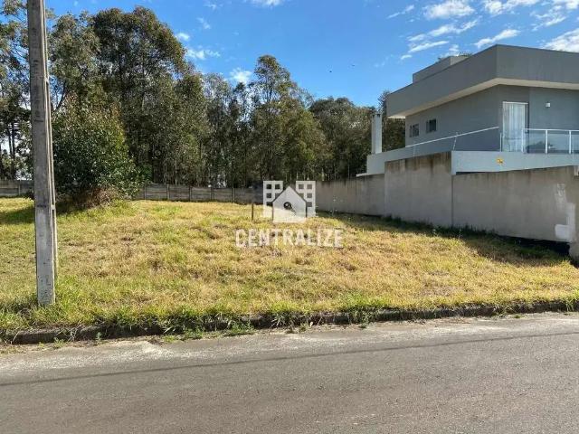 Terreno / Lote para Venda em Ponta Grossa/PR Jardim Carvalho