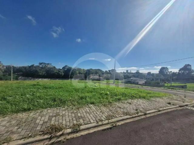 Terreno / Lote para Venda em Ponta Grossa/PR Jardim Carvalho