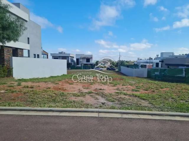 Terreno / Lote para Venda em Ponta Grossa/PR Jardim Carvalho