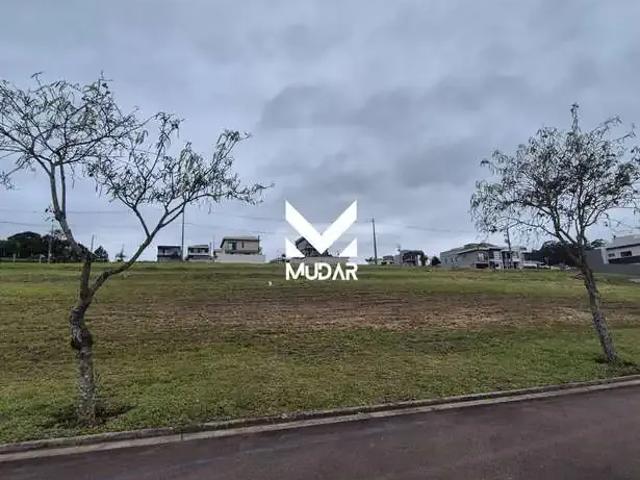 Terreno / Lote para Venda em Ponta Grossa/PR Jardim Carvalho