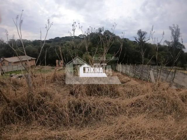 Terreno / Lote para Venda em Ponta Grossa/PR Jardim Carvalho