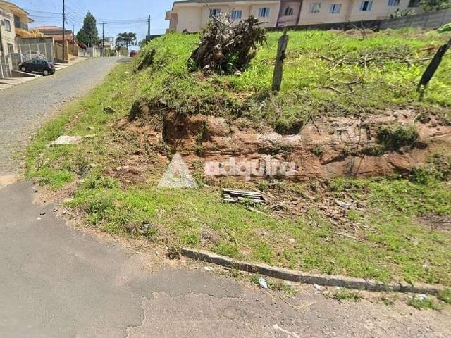 Terreno / Lote para Venda em Ponta Grossa/PR Jardim Carvalho