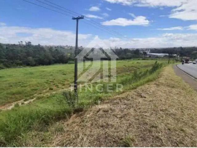 Terreno / Lote para Venda em Ponta Grossa/PR Neves