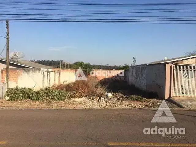 Terreno / Lote para Venda em Ponta Grossa/PR Neves