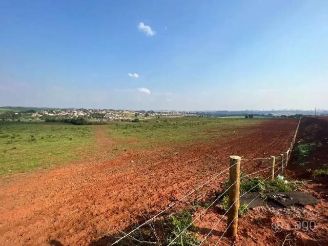 Terreno / Lote para Venda em Ponta Grossa/PR Neves