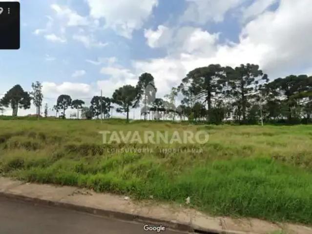 Terreno / Lote para Venda em Ponta Grossa/PR Neves