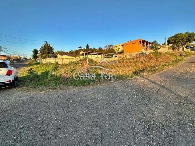 Terreno / Lote para Venda em Ponta Grossa/PR Neves