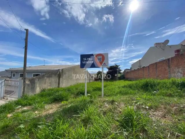 Terreno / Lote para Venda em Ponta Grossa/PR Neves