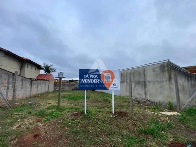 Terreno / Lote para Venda em Ponta Grossa/PR Neves