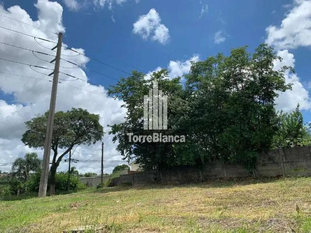 Terreno / Lote para Venda em Ponta Grossa/PR Neves