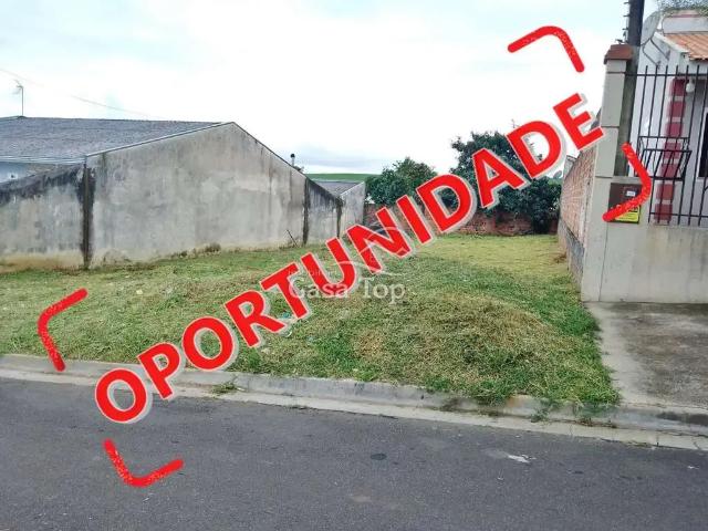 Terreno / Lote para Venda em Ponta Grossa/PR Neves