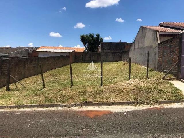 Terreno / Lote para Venda em Ponta Grossa/PR Neves