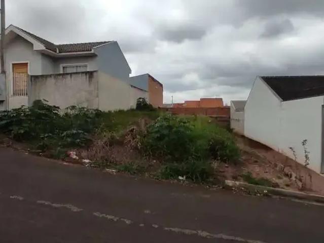 Terreno / Lote para Venda em Ponta Grossa/PR Neves