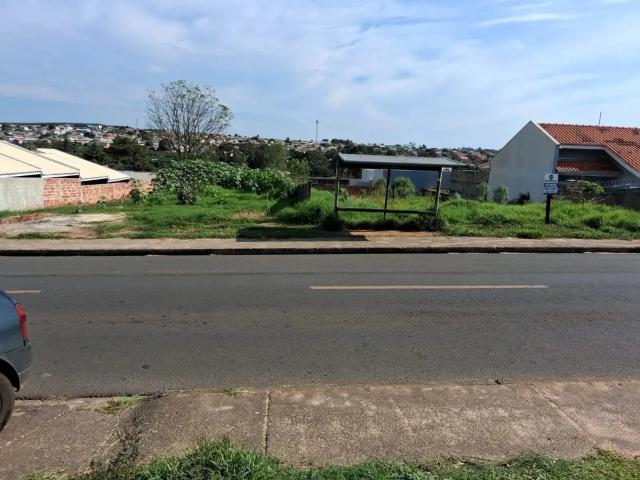 Terreno / Lote para Venda em Ponta Grossa/PR Neves