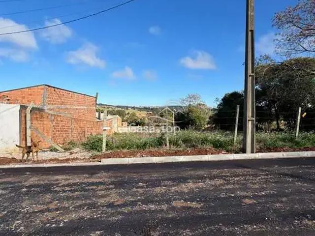 Terreno / Lote para Venda em Ponta Grossa/PR Neves