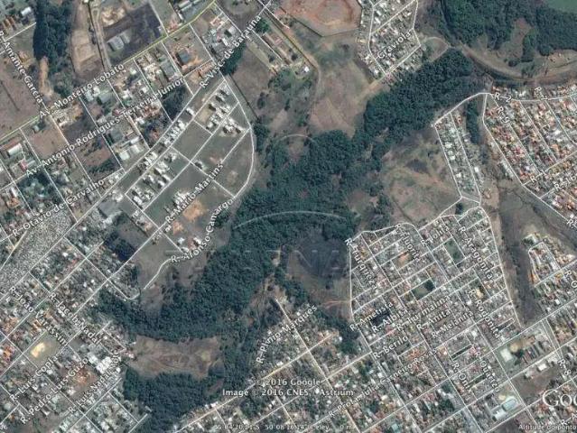 Terreno / Lote para Venda em Ponta Grossa/PR Neves
