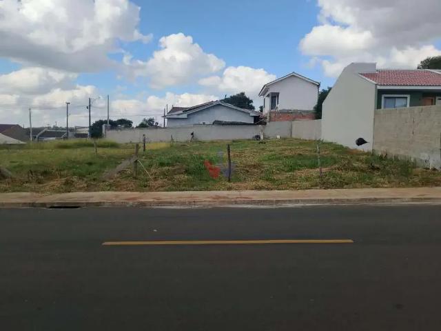 Terreno / Lote para Venda em Ponta Grossa/PR Neves