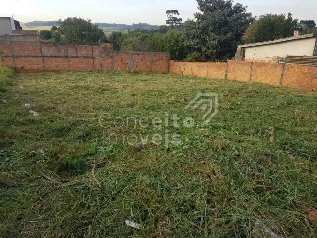Terreno / Lote para Venda em Ponta Grossa/PR Neves