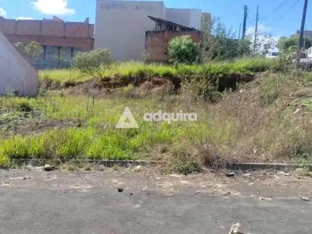 Terreno / Lote para Venda em Ponta Grossa/PR Neves