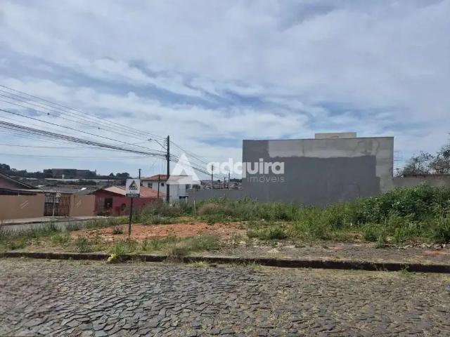 Terreno / Lote para Venda em Ponta Grossa/PR Nova Rússia