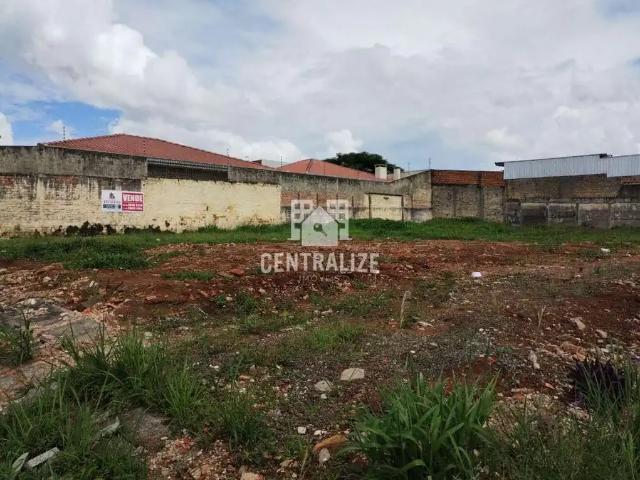 Terreno / Lote para Venda em Ponta Grossa/PR Nova Rússia