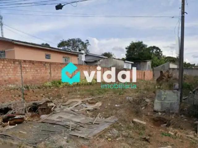 Terreno / Lote para Venda em Ponta Grossa/PR Boa Vista