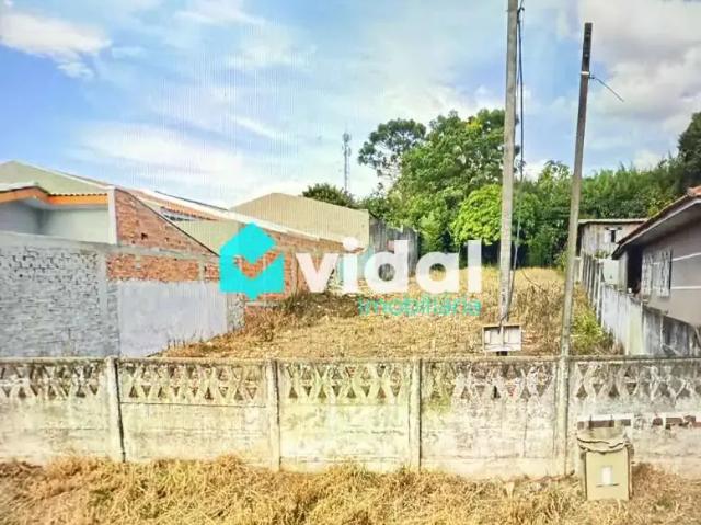 Terreno / Lote para Venda em Ponta Grossa/PR Nova Rússia