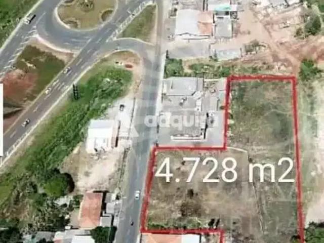 Terreno / Lote para Venda em Ponta Grossa/PR Nova Rússia