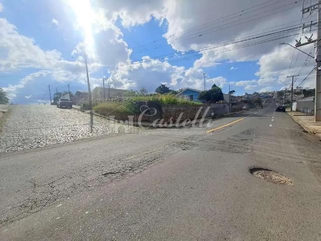 Terreno / Lote para Venda em Ponta Grossa/PR Nova Rússia