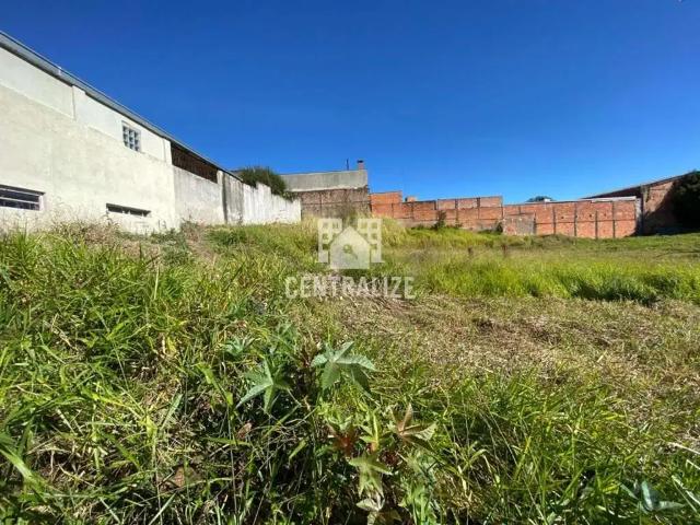 Terreno / Lote para Venda em Ponta Grossa/PR Nova Rússia