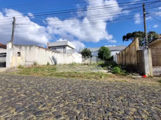 Terreno / Lote para Venda em Ponta Grossa/PR Nova Rússia