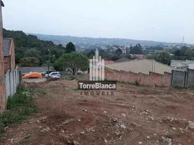 Terreno / Lote para Venda em Ponta Grossa/PR Nova Rússia
