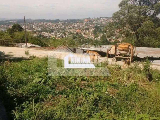 Terreno / Lote para Venda em Ponta Grossa/PR Nova Rússia