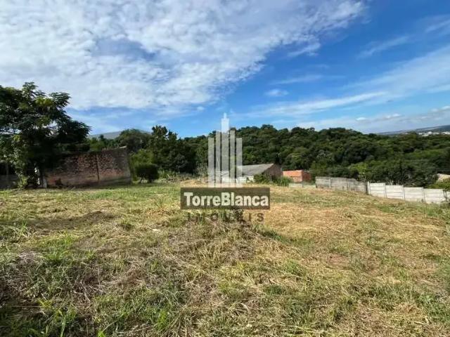Terreno / Lote para Venda em Ponta Grossa/PR Nova Rússia