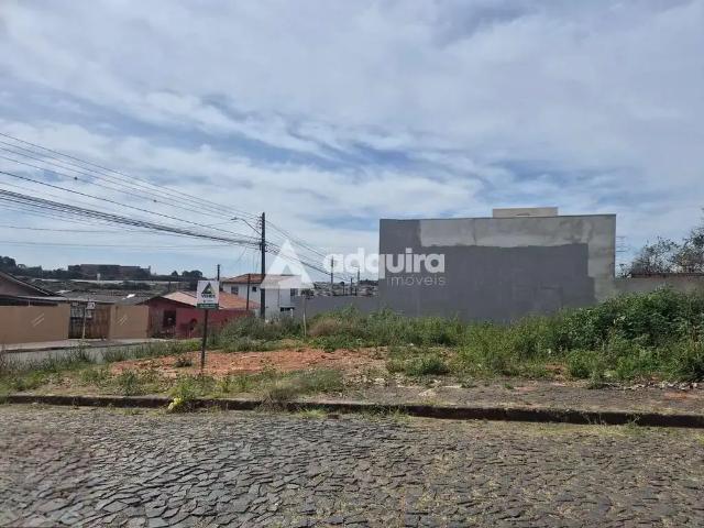 Terreno / Lote para Venda em Ponta Grossa/PR Nova Rússia