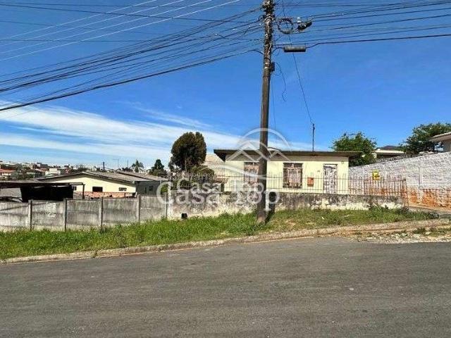 Terreno / Lote para Venda em Ponta Grossa/PR Nova Rússia