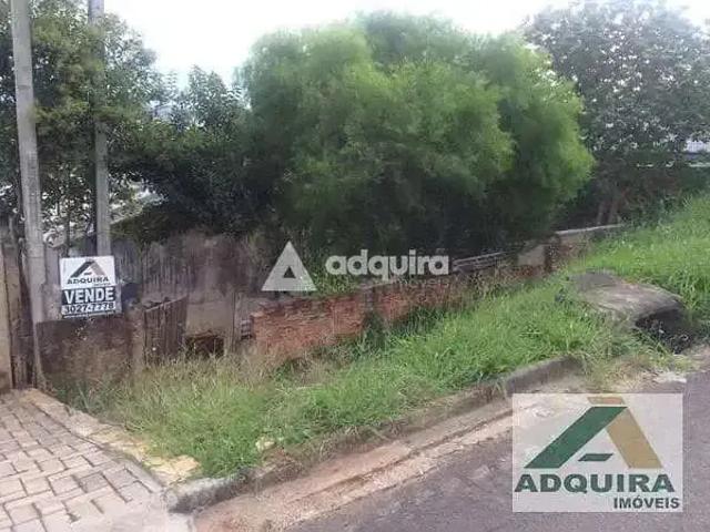Terreno / Lote para Venda em Ponta Grossa/PR Nova Rússia 1 Quartos