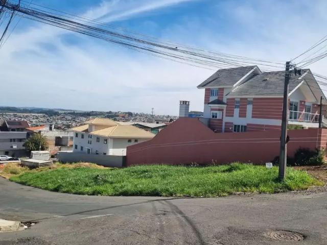 Terreno / Lote para Venda em Ponta Grossa/PR Nova Rússia
