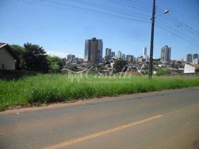 Terreno / Lote para Venda em Ponta Grossa/PR Oficinas