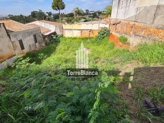 Terreno / Lote para Venda em Ponta Grossa/PR Oficinas