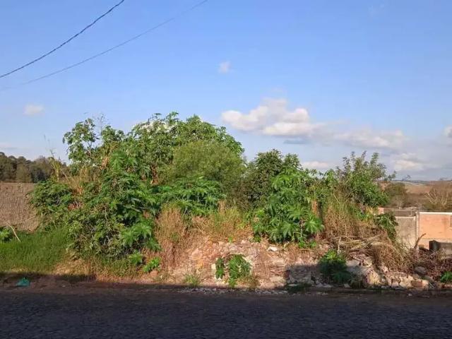 Terreno / Lote para Venda em Ponta Grossa/PR Oficinas