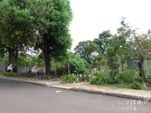 Terreno / Lote para Venda em Ponta Grossa/PR Oficinas
