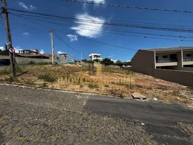 Terreno / Lote para Venda em Ponta Grossa/PR Oficinas