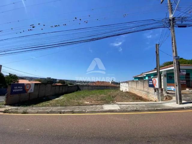 Terreno / Lote para Venda em Ponta Grossa/PR Oficinas