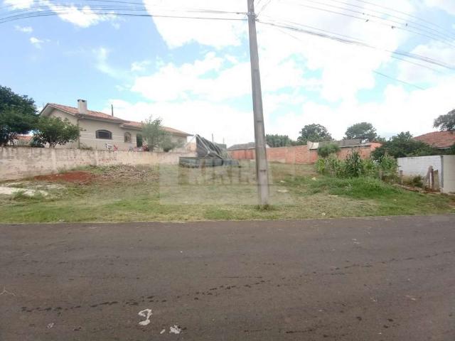 Terreno / Lote para Venda em Ponta Grossa/PR Oficinas